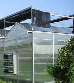 6 Things About Is Green or Black Shade Net Better for Plants | QiBang